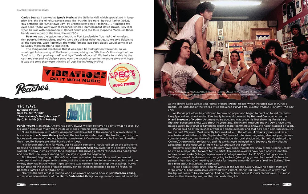 PUNK UNDER THE SUN – Punk & New Wave in South Florida BOOK by Joey See ...