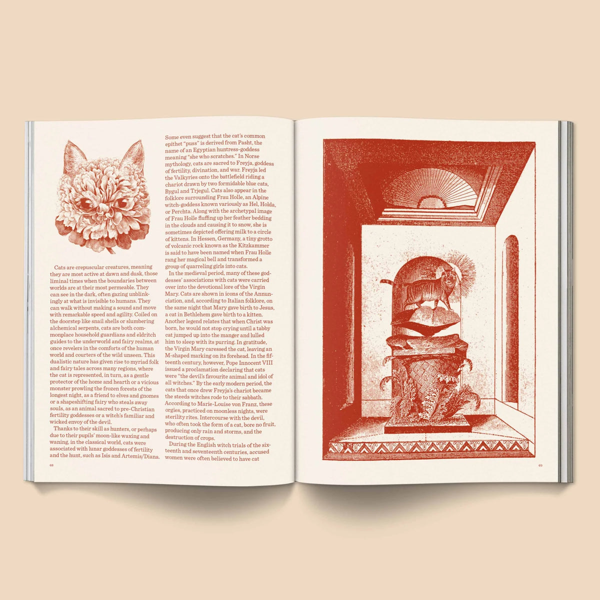 Catnip Magazine – Dale Zine Shop